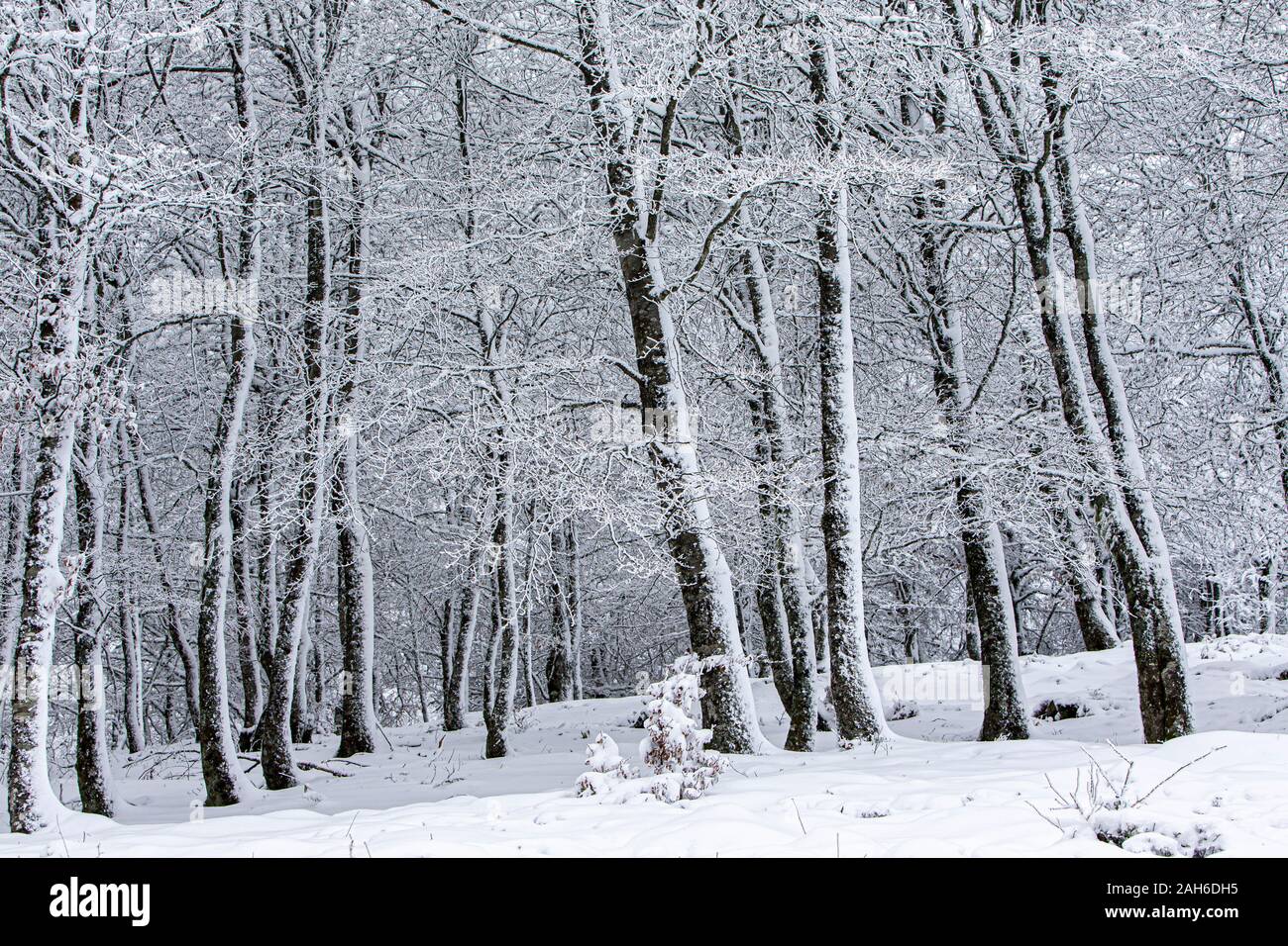Cold day spain hi-res stock photography and images - Alamy