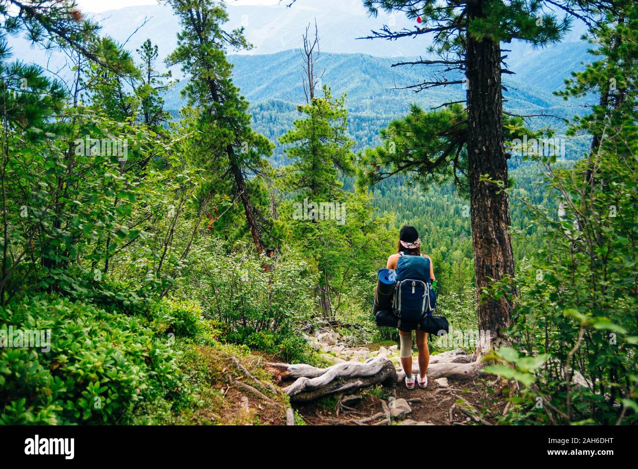woman hiker in hike with a big backpack back view Stock Photo - Alamy