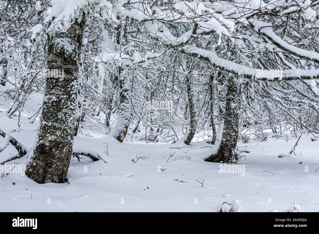 Cold day spain hi-res stock photography and images - Alamy