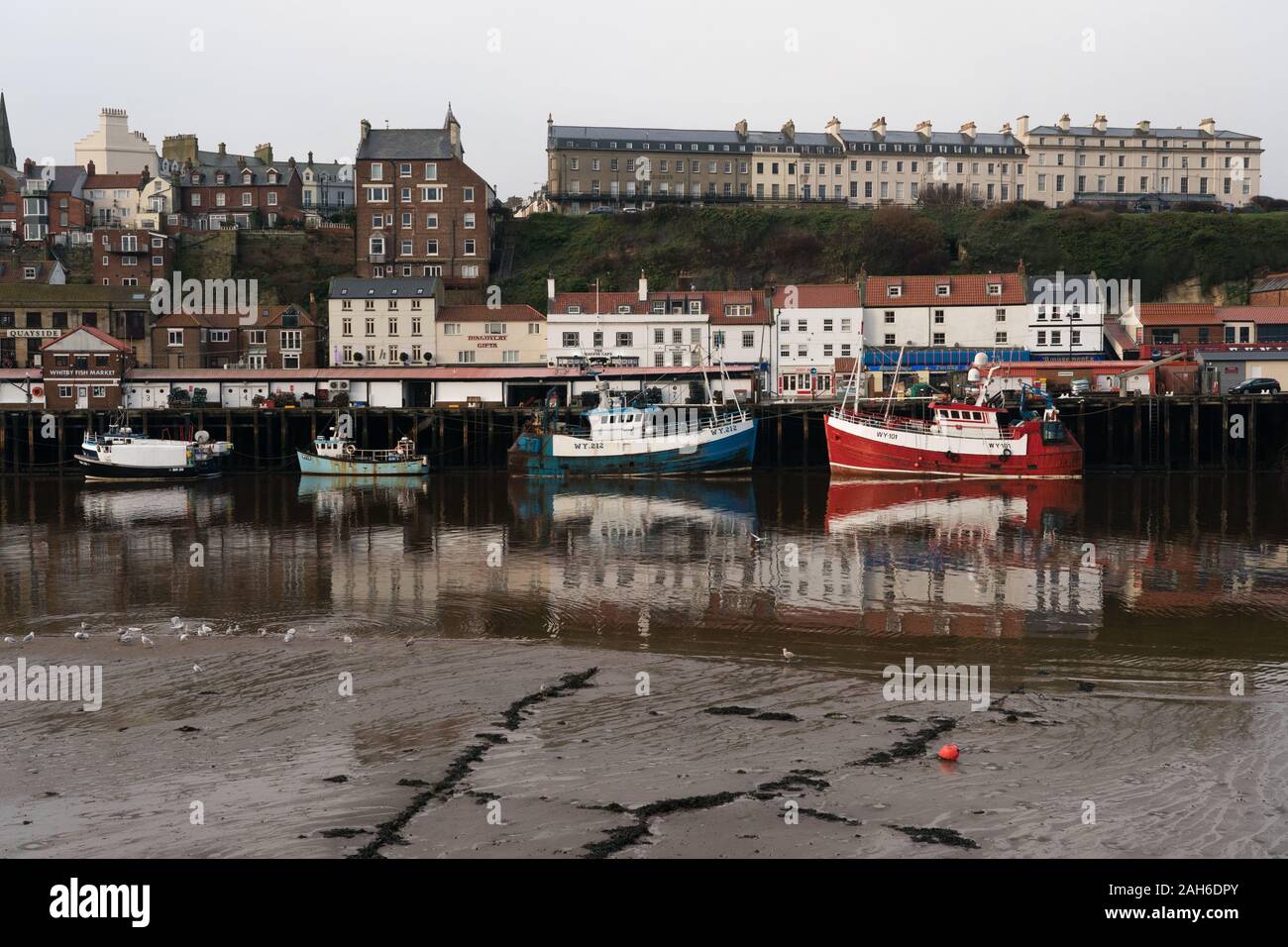 Fossil whitby hi-res stock photography and images - Alamy