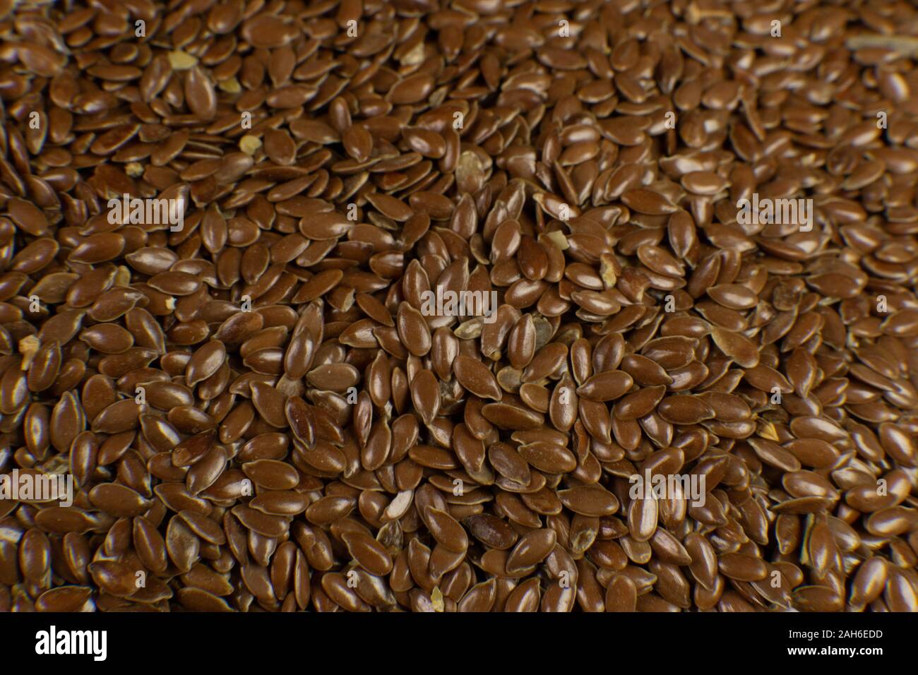 Linum usitatissimum is scientific name of Brown Flax seed. Also known as Linseed, Flaxseed and ...