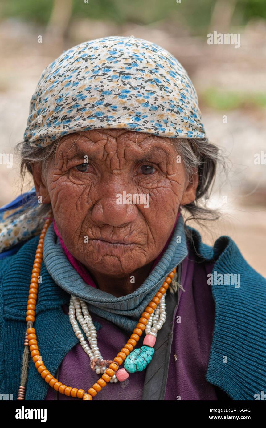 Portrait of a Ladakhi Woman in Traditional Attire during Ladakhi ...