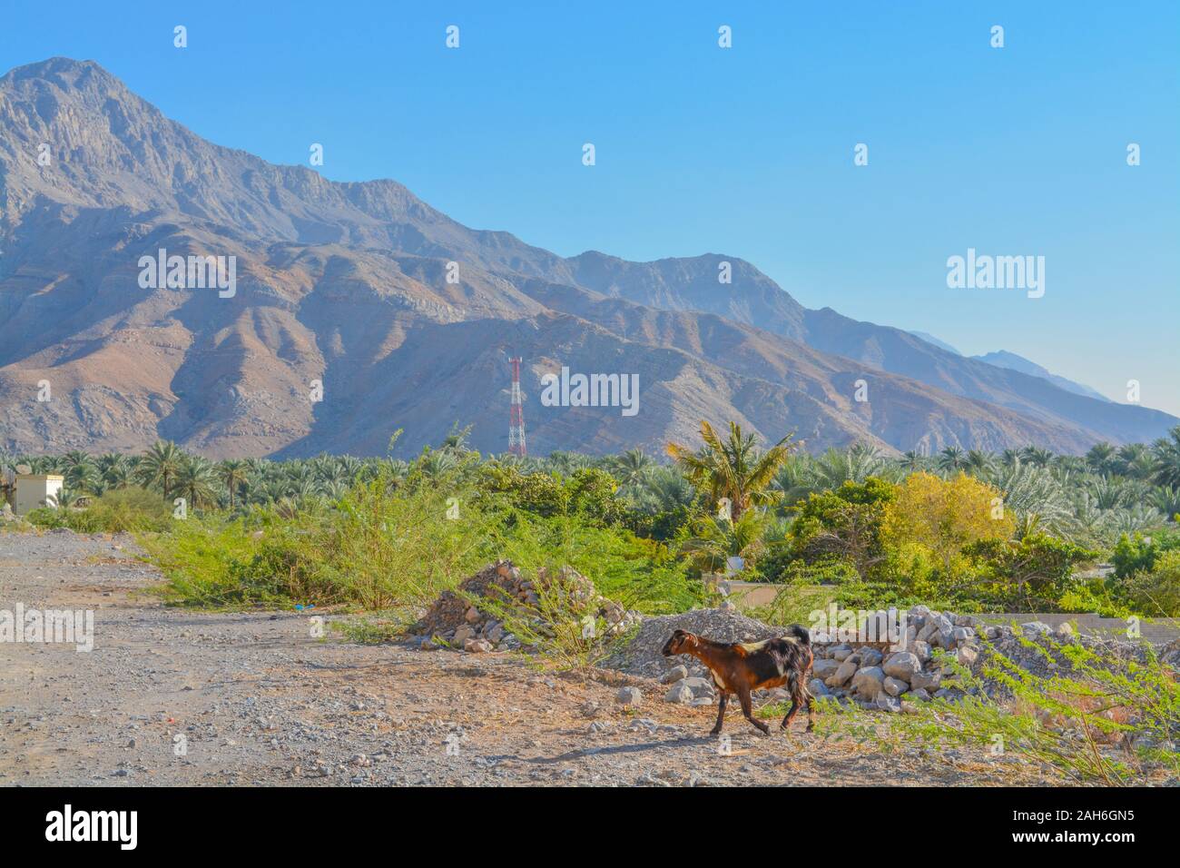 Uae oman border hi-res stock photography and images - Alamy