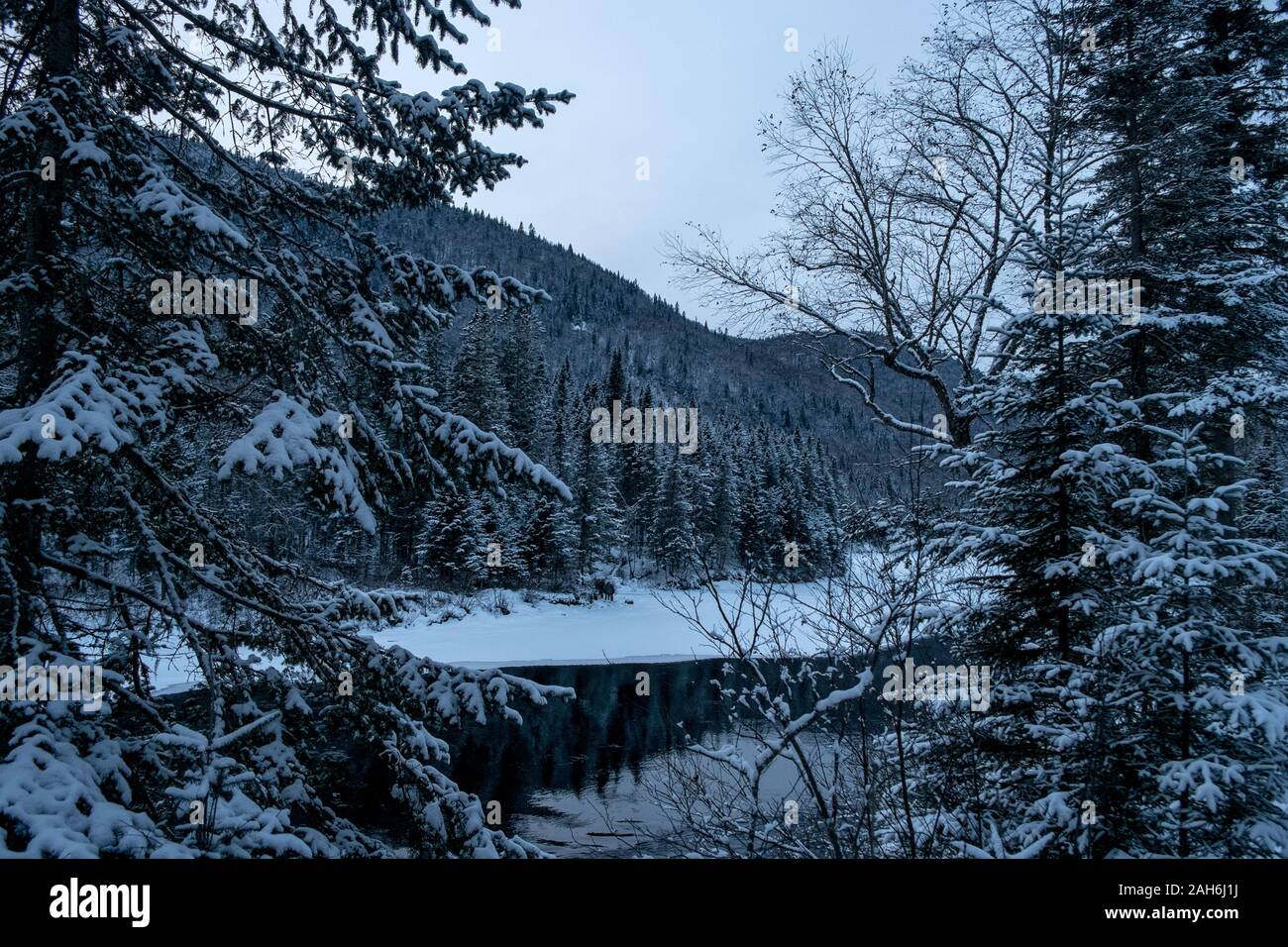 Snow landscape, Parc National de la Jacques-Cartier, Quebec, Canada ...