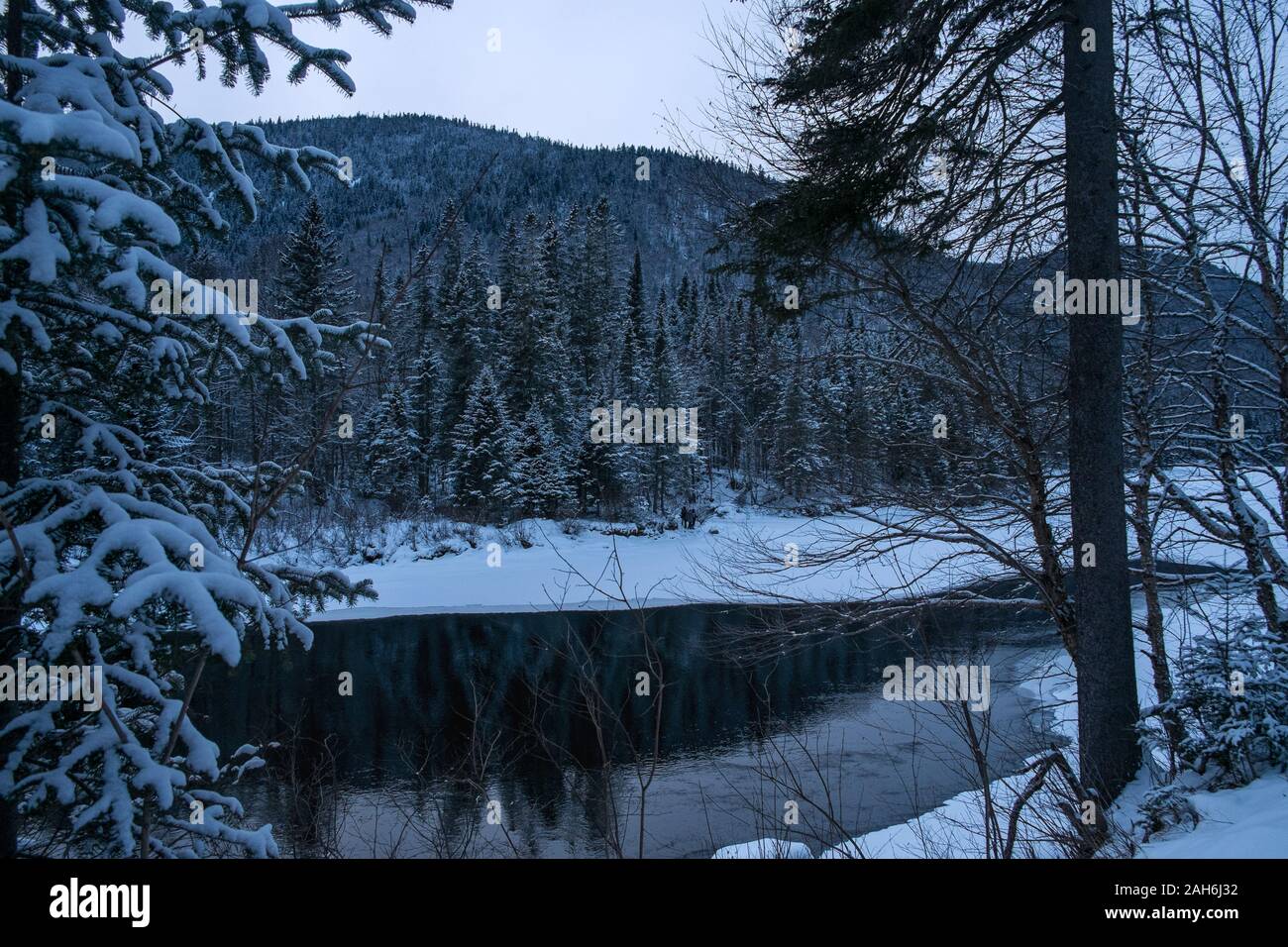 Canada landscape trees hi-res stock photography and images - Alamy
