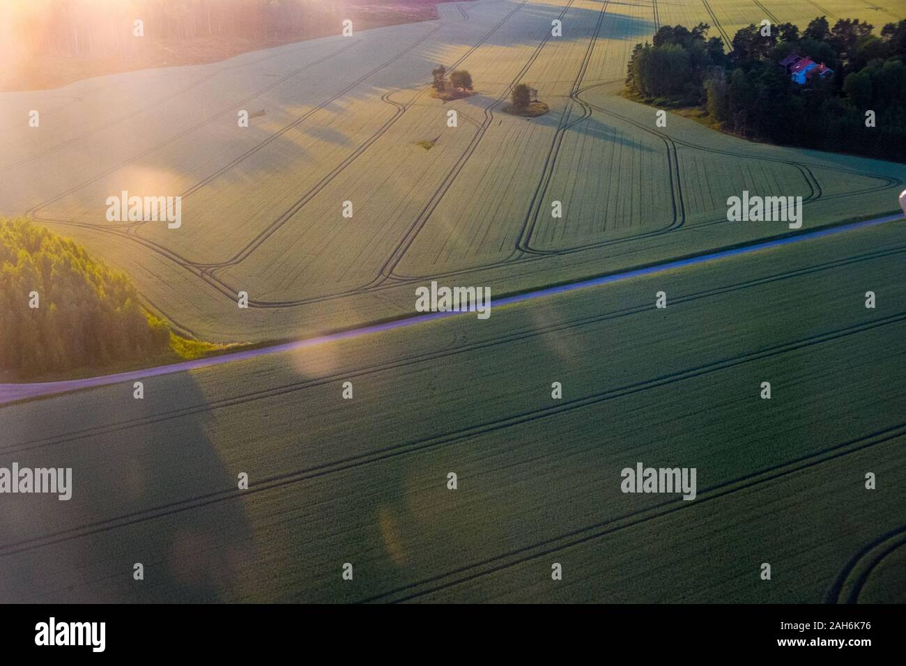 Aerial view of a grain field in rural central Sweden Stock Photo - Alamy