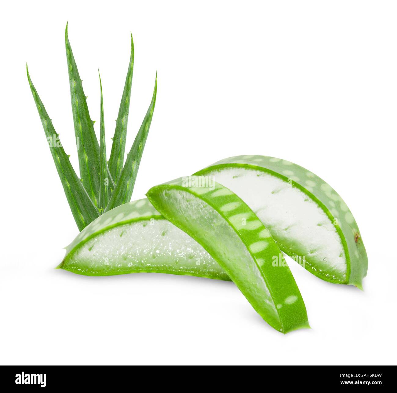 Aloe vera leaves isolated on white background Stock Photo - Alamy