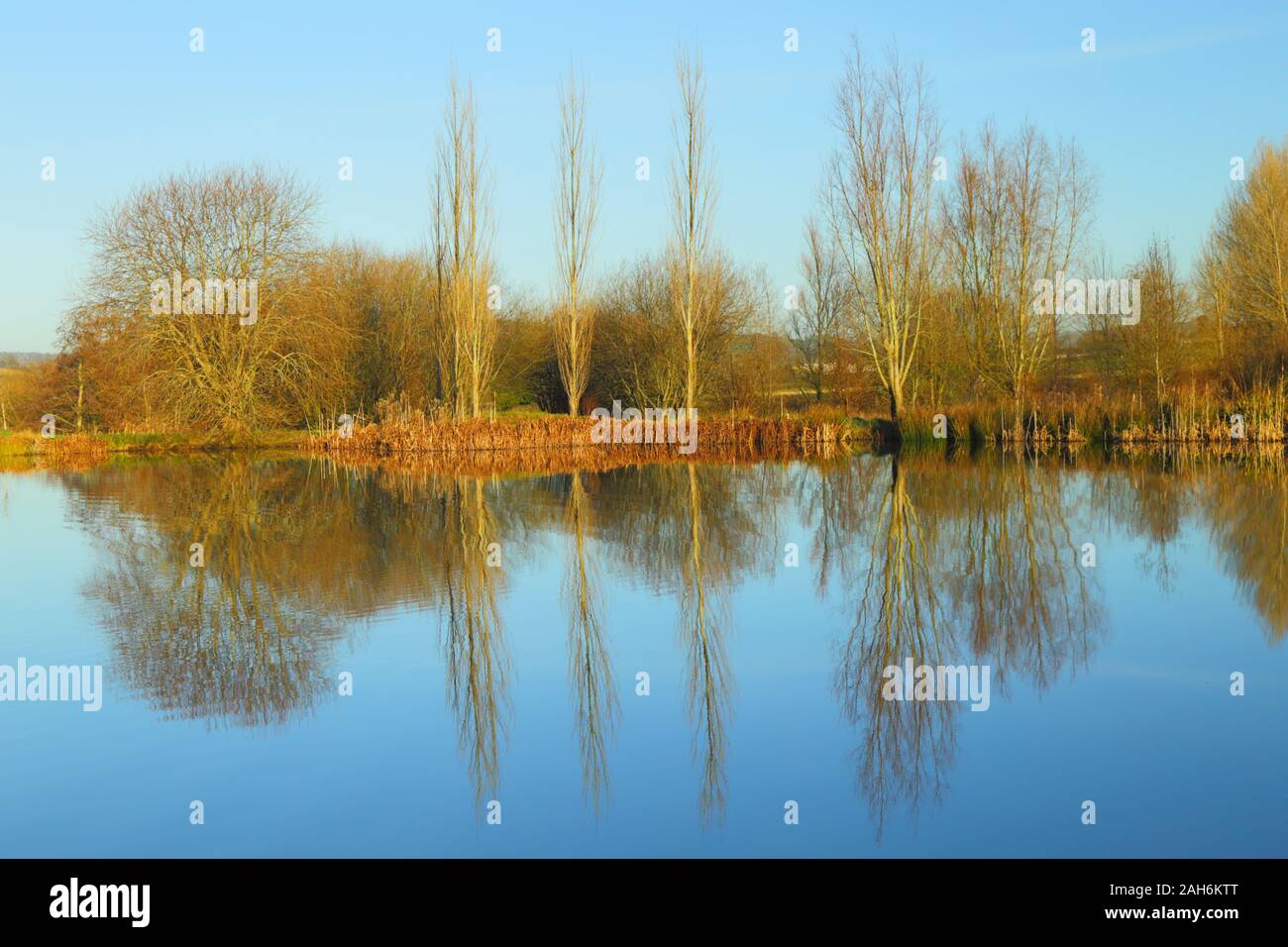 Lake in East Devon AONB (Area of Outstanding Natural Beauty) in late ...