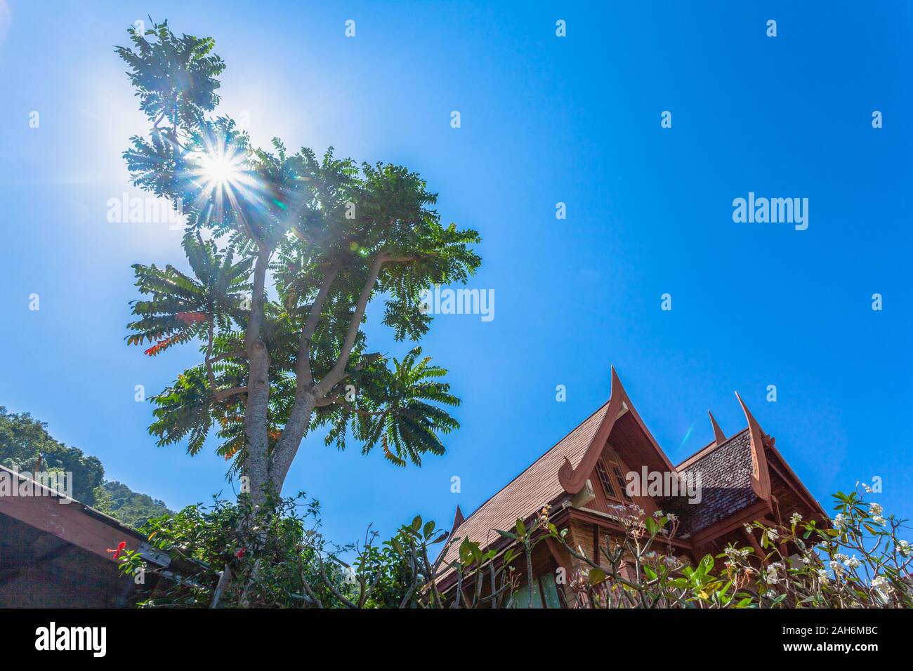 sun shine through the tree in blue sky near by Thai style house Stock ...