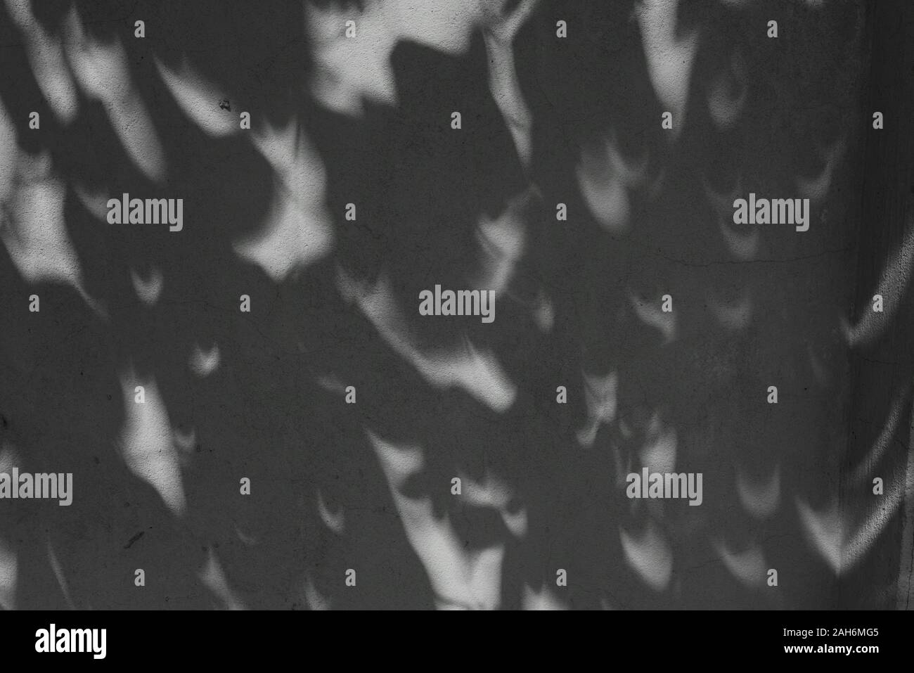 Crescent-shaped shadows of foliage during annular solar eclipse in ...