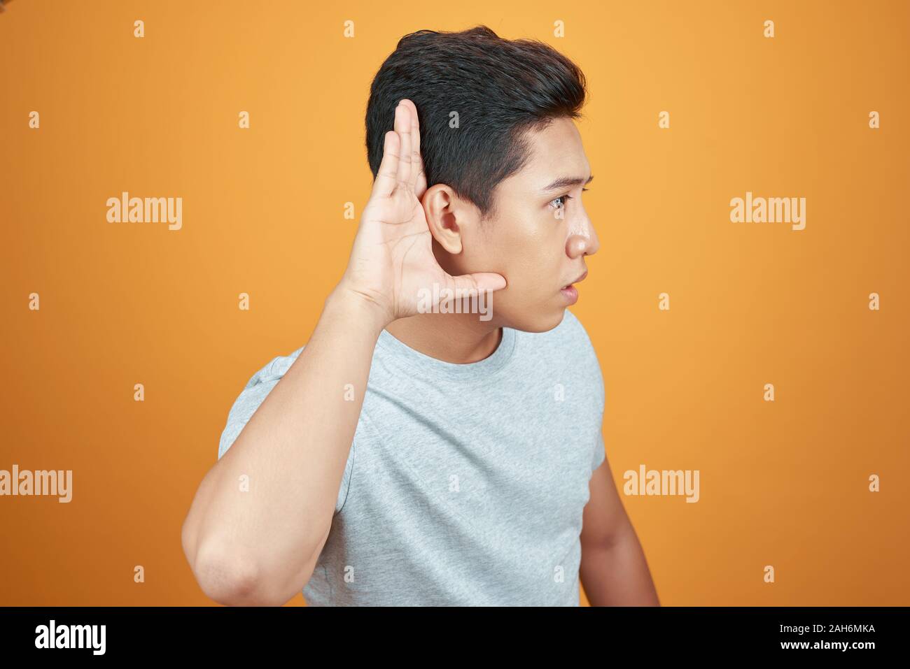 Raised ear hi-res stock photography and images - Alamy