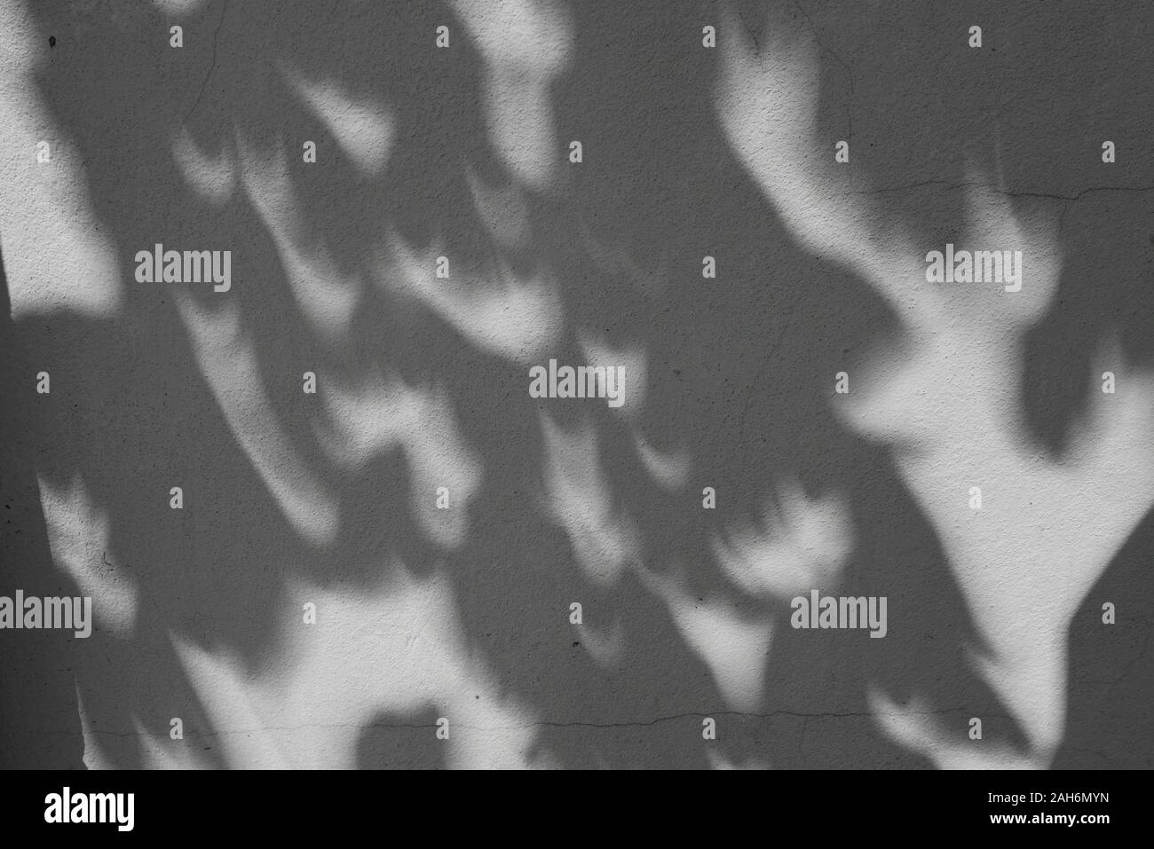 Crescent-shaped shadows of foliage during annular solar eclipse in ...