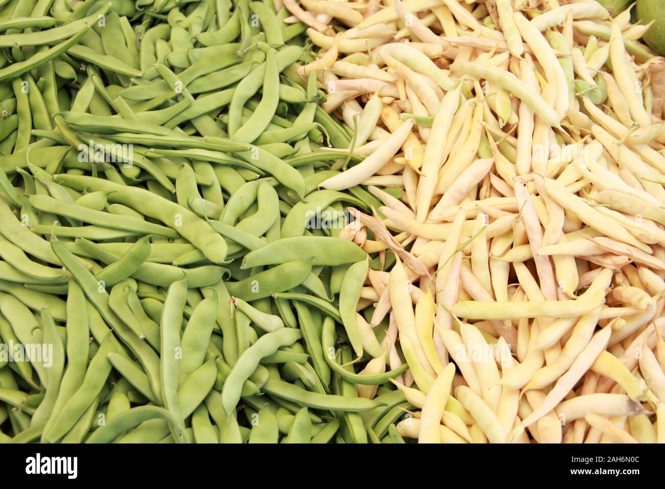 Garden fresh green beans sale hi-res stock photography and images - Alamy