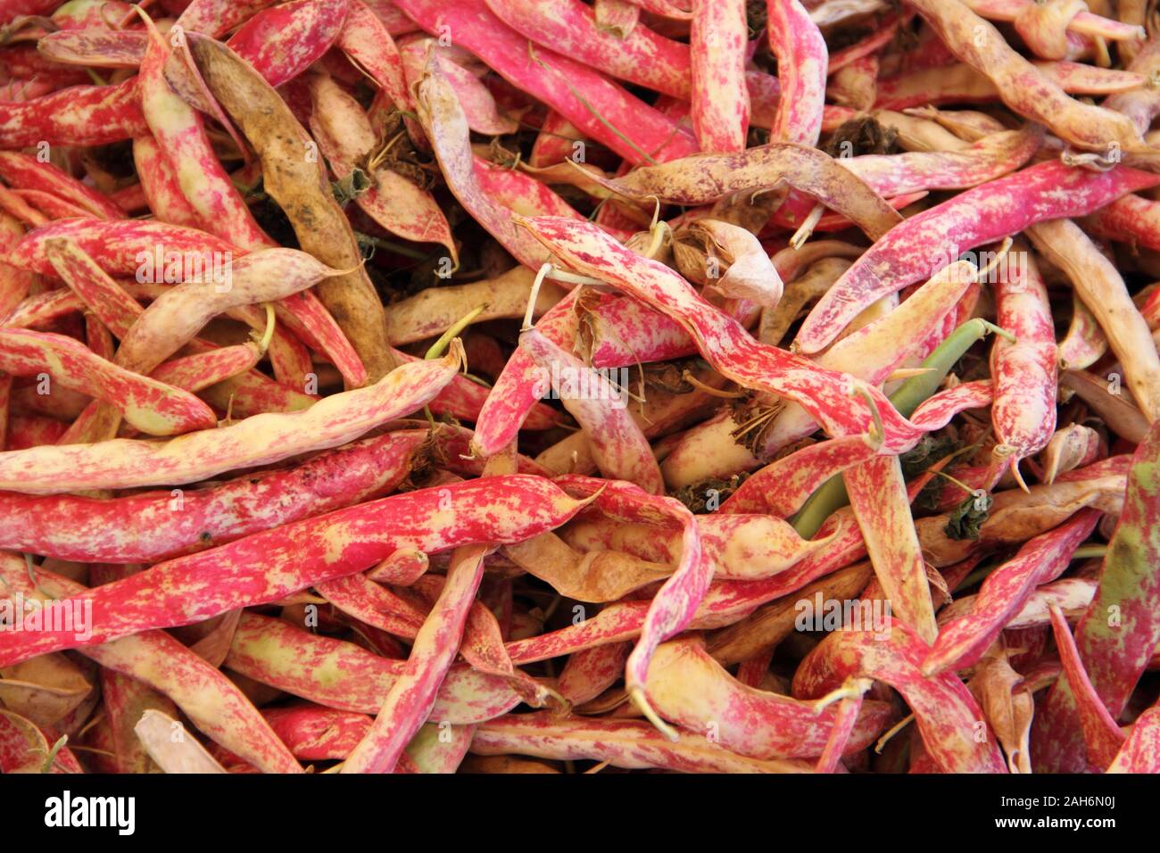 Red spotted bean hi-res stock photography and images - Alamy