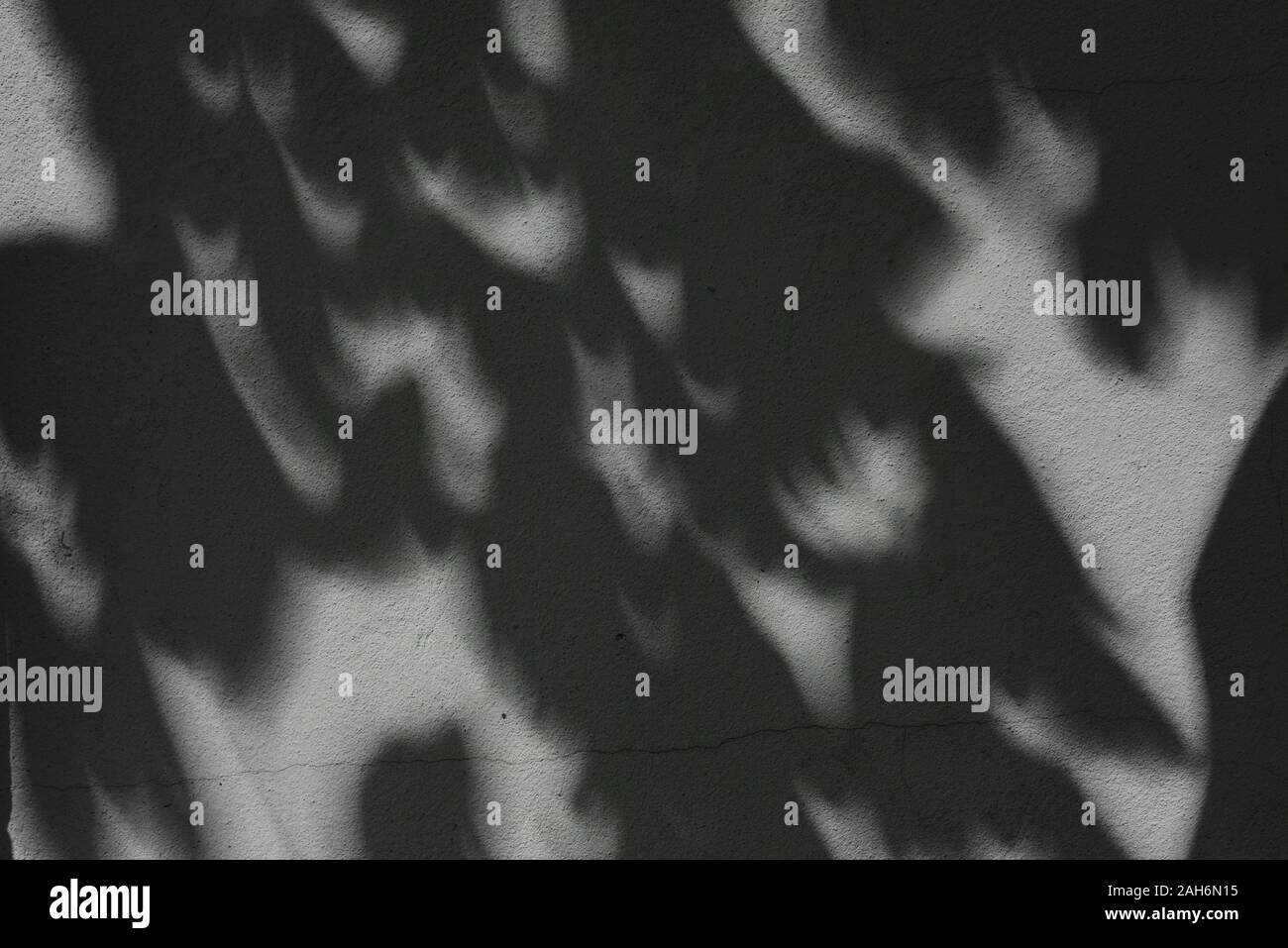 Crescent-shaped shadows of foliage during annular solar eclipse in ...