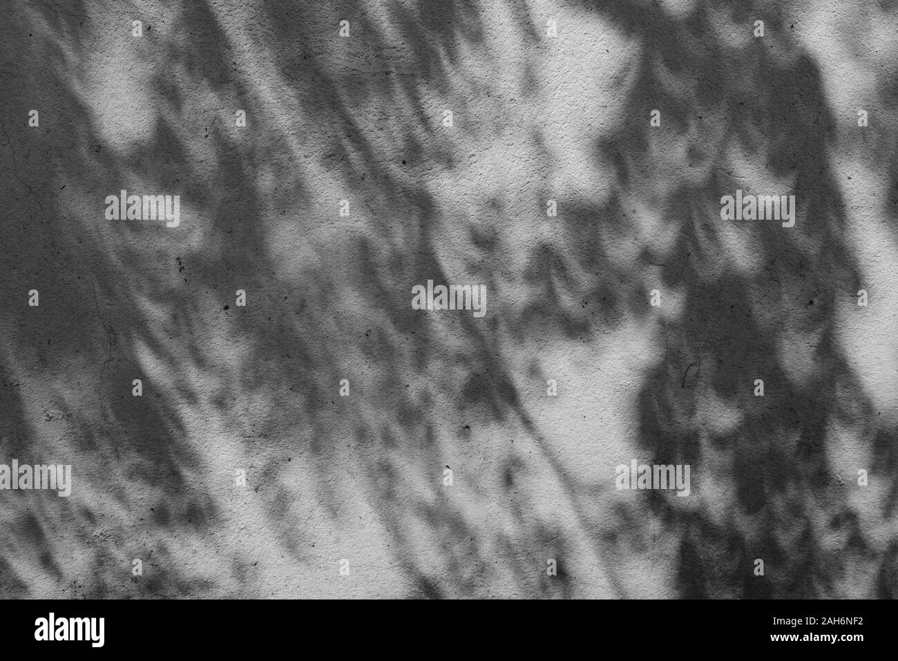 Crescent-shaped shadows of foliage during annular solar eclipse in ...