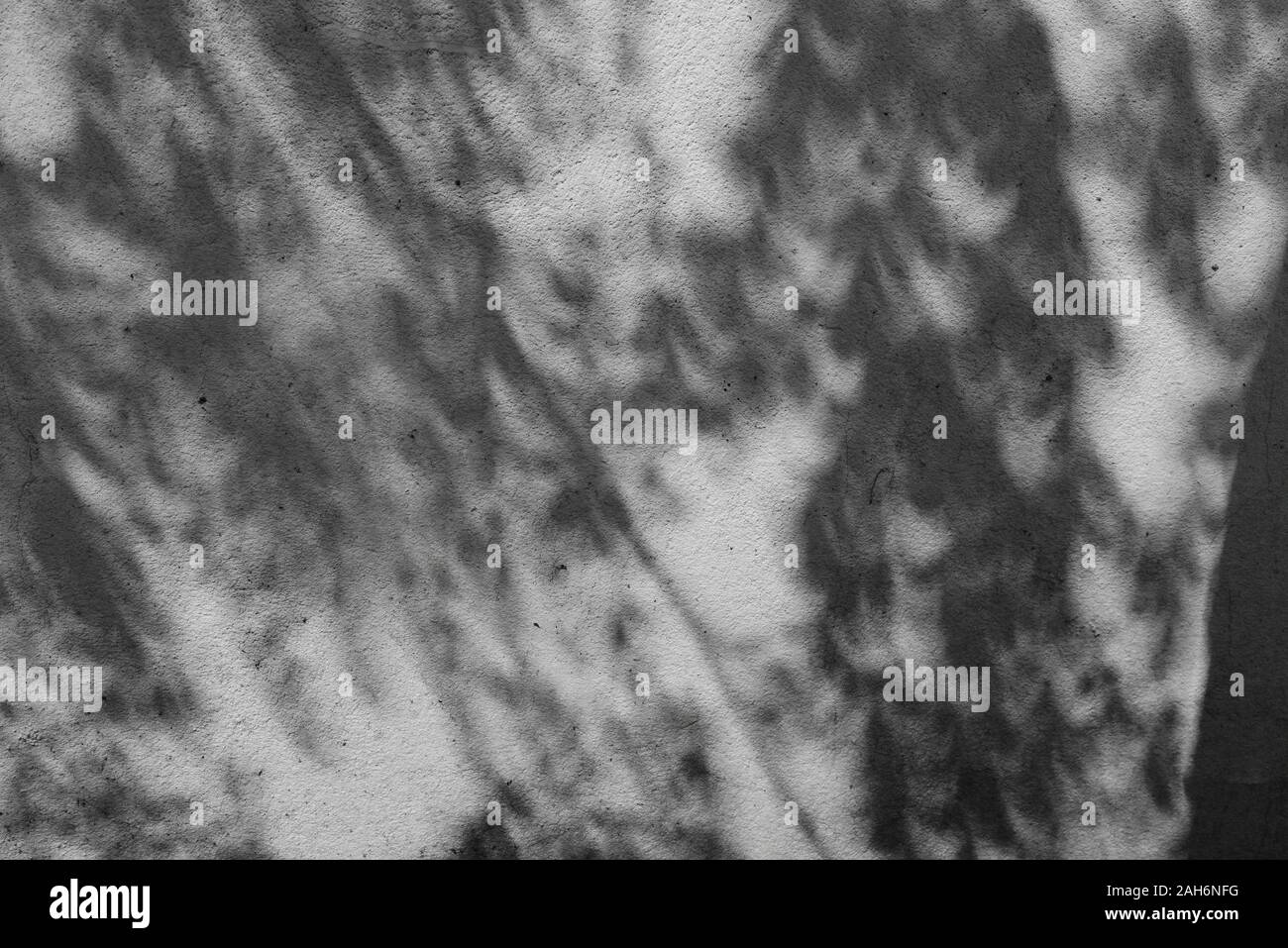 Crescent-shaped shadows of foliage during annular solar eclipse in ...