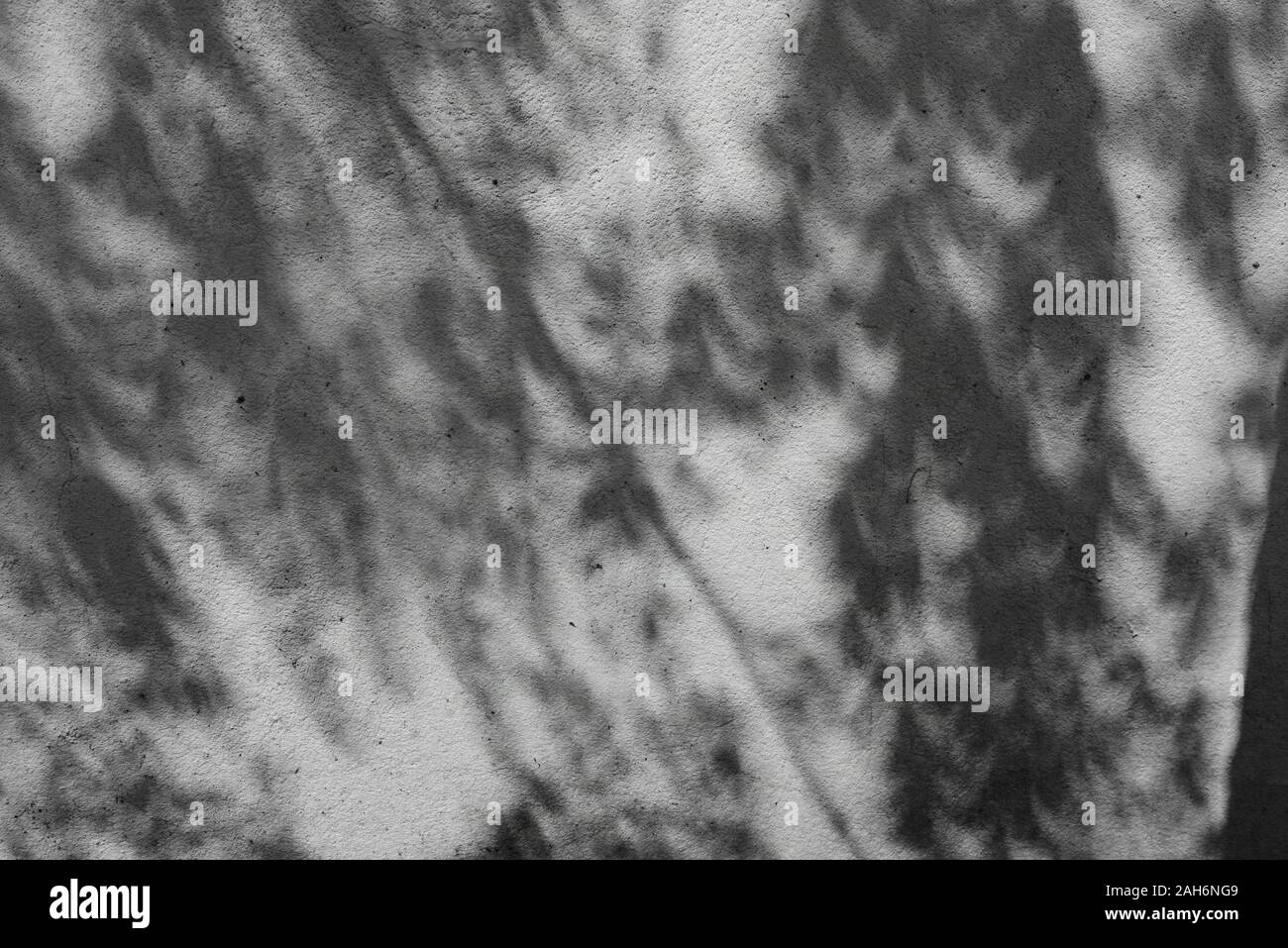 Crescent-shaped shadows of foliage during annular solar eclipse in ...
