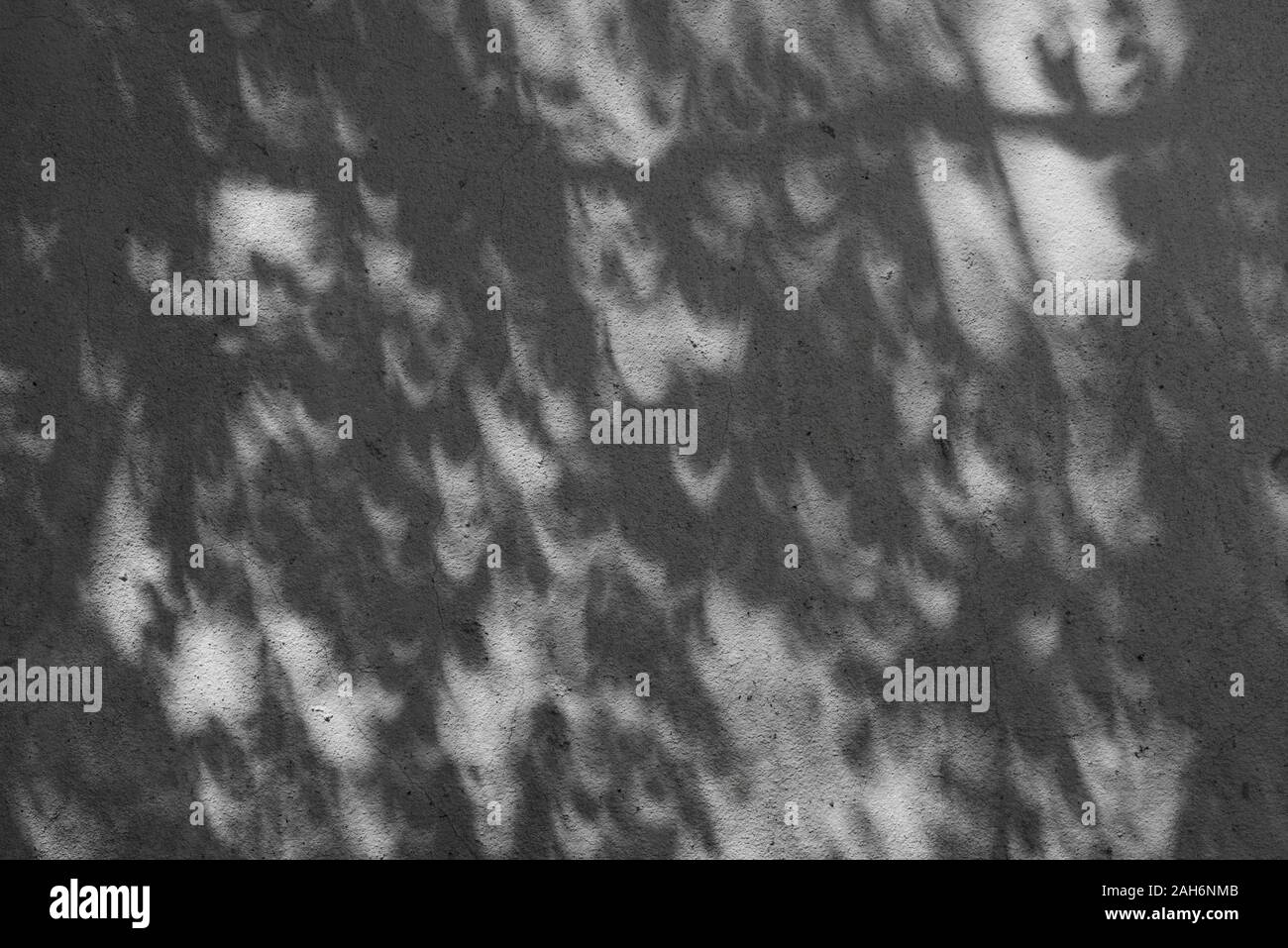 Crescent-shaped shadows of foliage during annular solar eclipse in ...