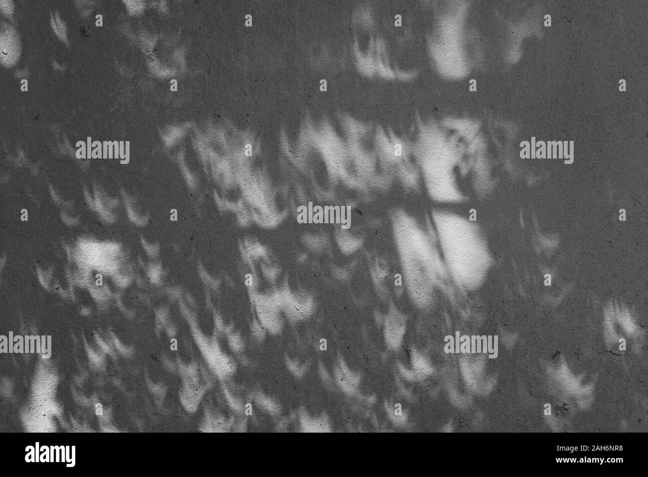 Crescent-shaped shadows of foliage during annular solar eclipse in ...