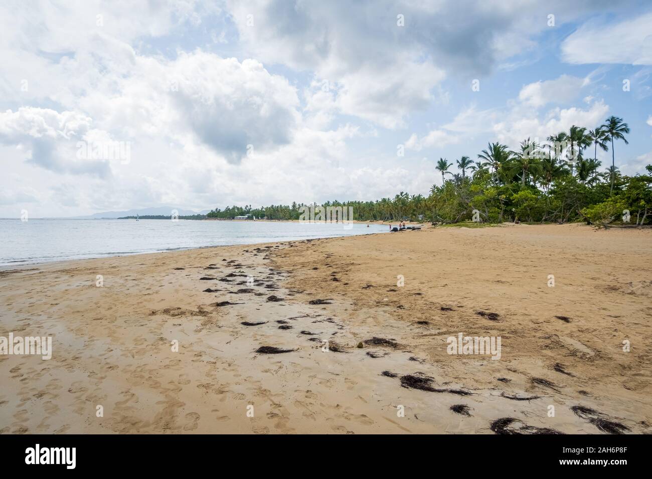 A view of tropical beach with sea sand and seaweed,Grand Bahia beach,El ...