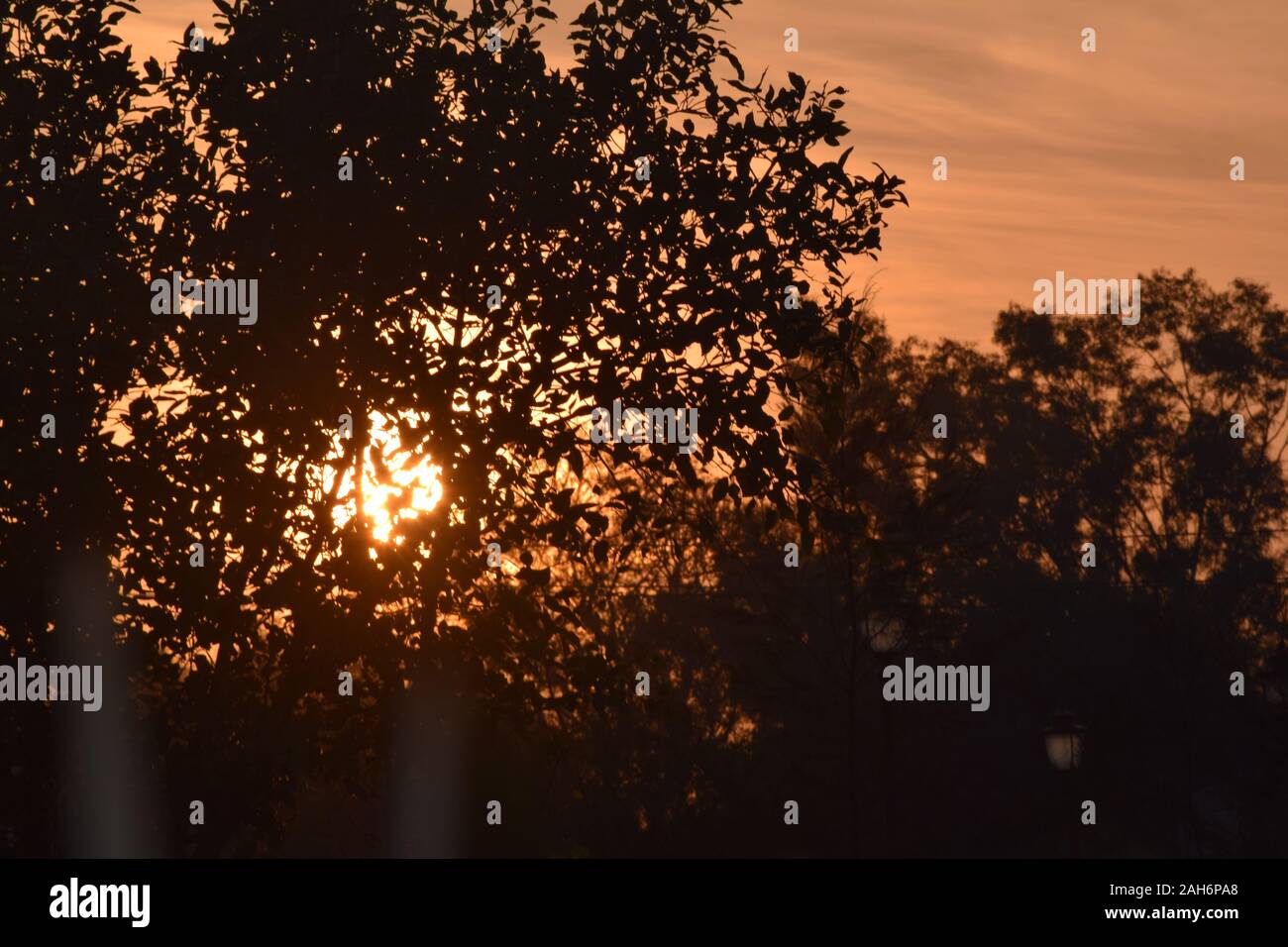 The sun is hiding behind the trees hi-res stock photography and images ...