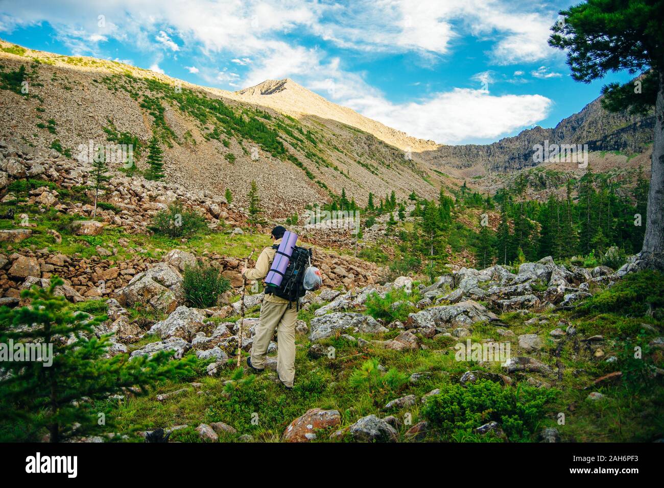 woman hiker in hike with a big backpack back view Stock Photo - Alamy