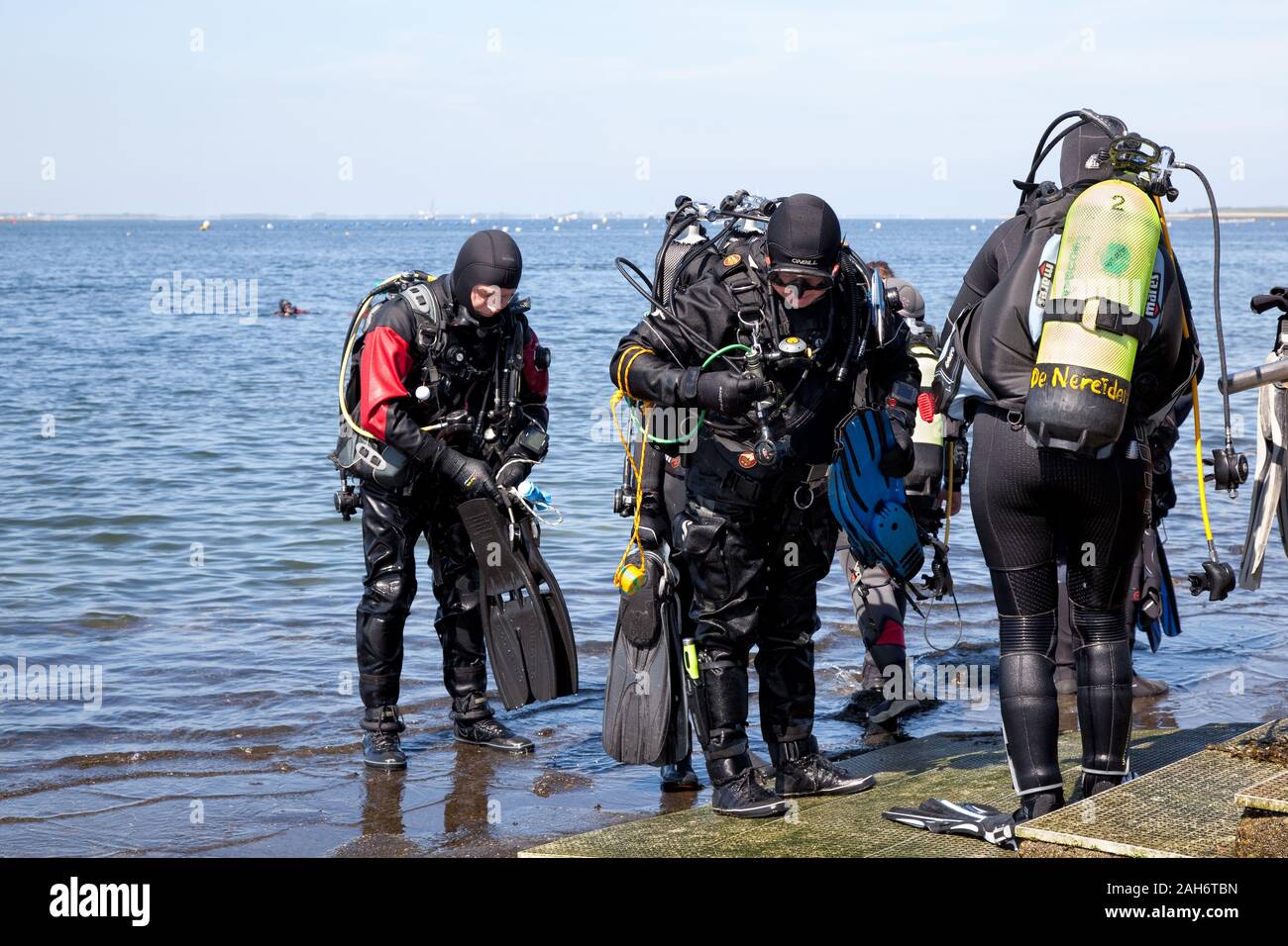 Group of scuba divers preparing for scuba diving with wetsuit, tank and ...