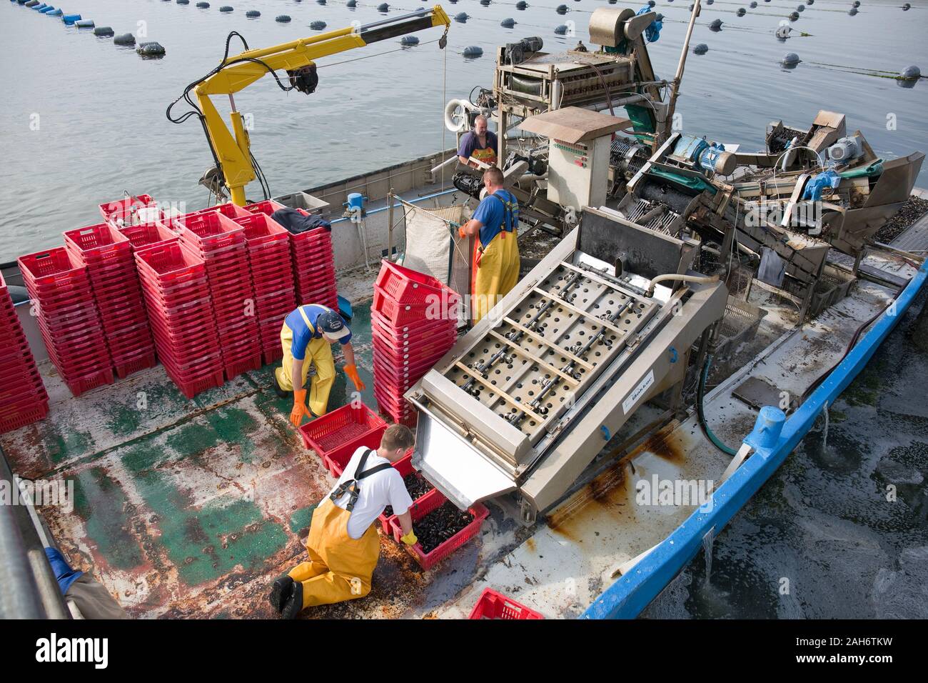 Champagne production process hi-res stock photography and images - Alamy