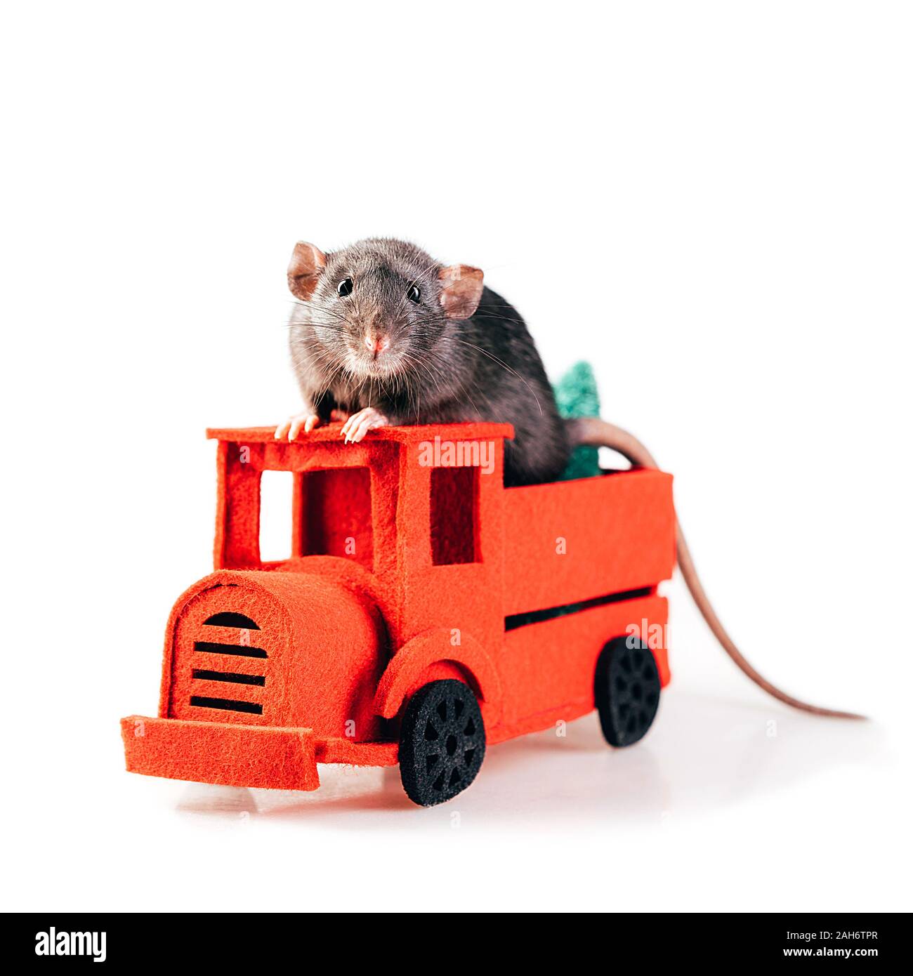 Sitting 2020 Cut Out Stock Images & Pictures - Alamy