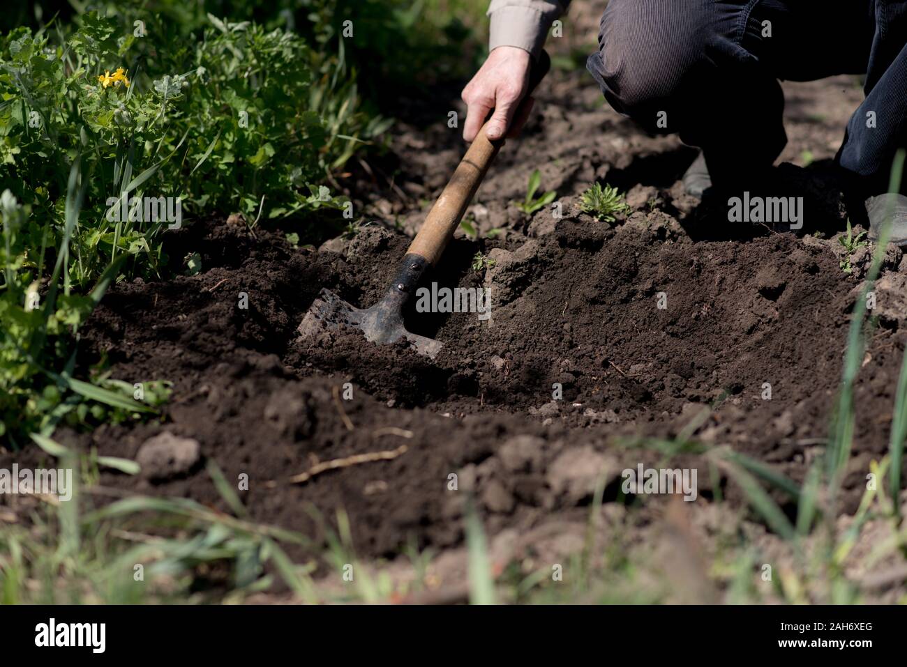 Man digs ground hi-res stock photography and images - Alamy