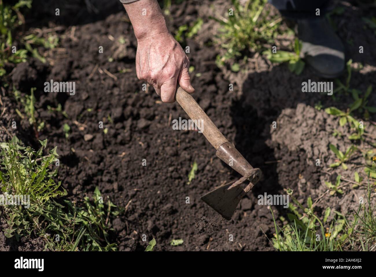 Archaeology digs hi-res stock photography and images - Alamy