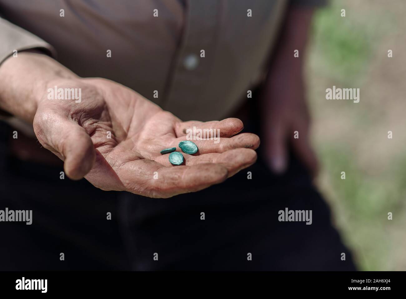 Old grandfather planting seeds in the ground Stock Photo - Alamy