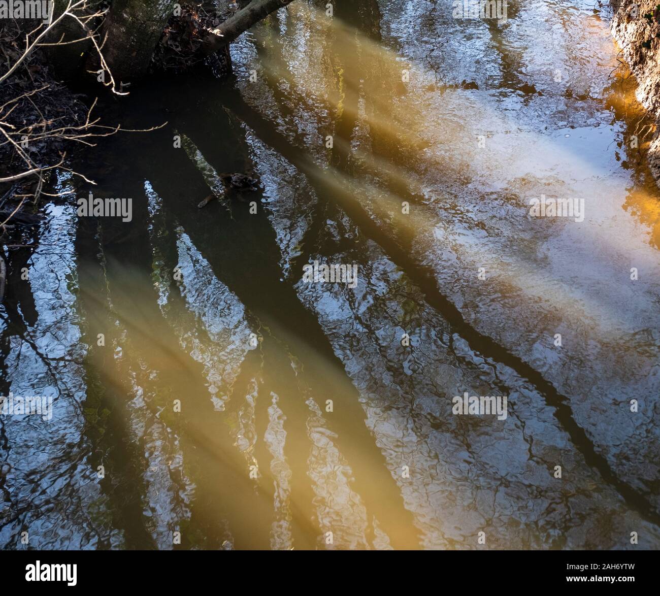 Winter sun-rays through tree onto reflecting water in woodlands at ...