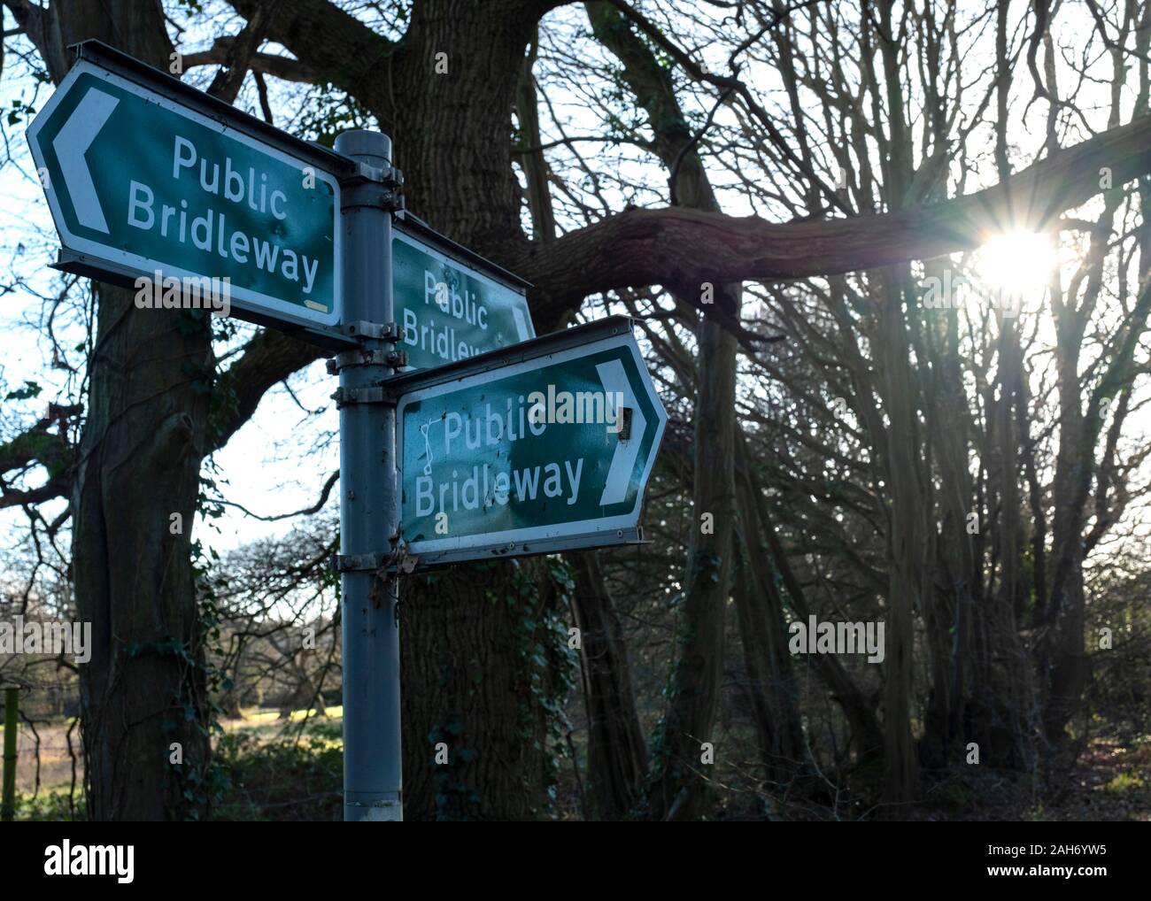 Public Bridleway signs in Winter Sunshine Wooded Area in West Sussex ...