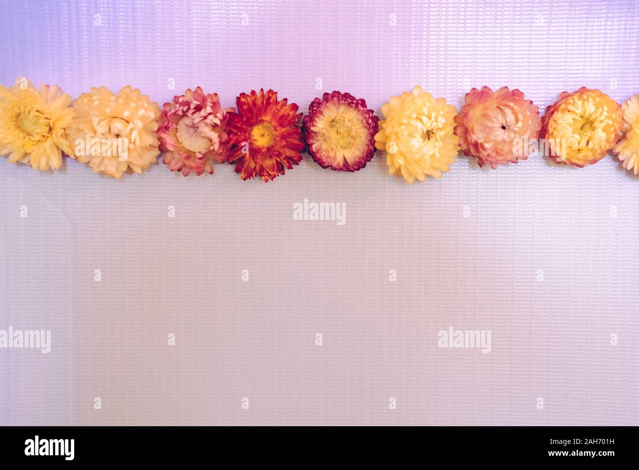 Row texture hi-res stock photography and images - Alamy