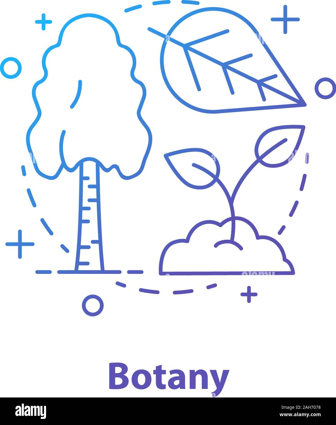 Botany concept icon. Science idea thin line illustration. Plant biology ...