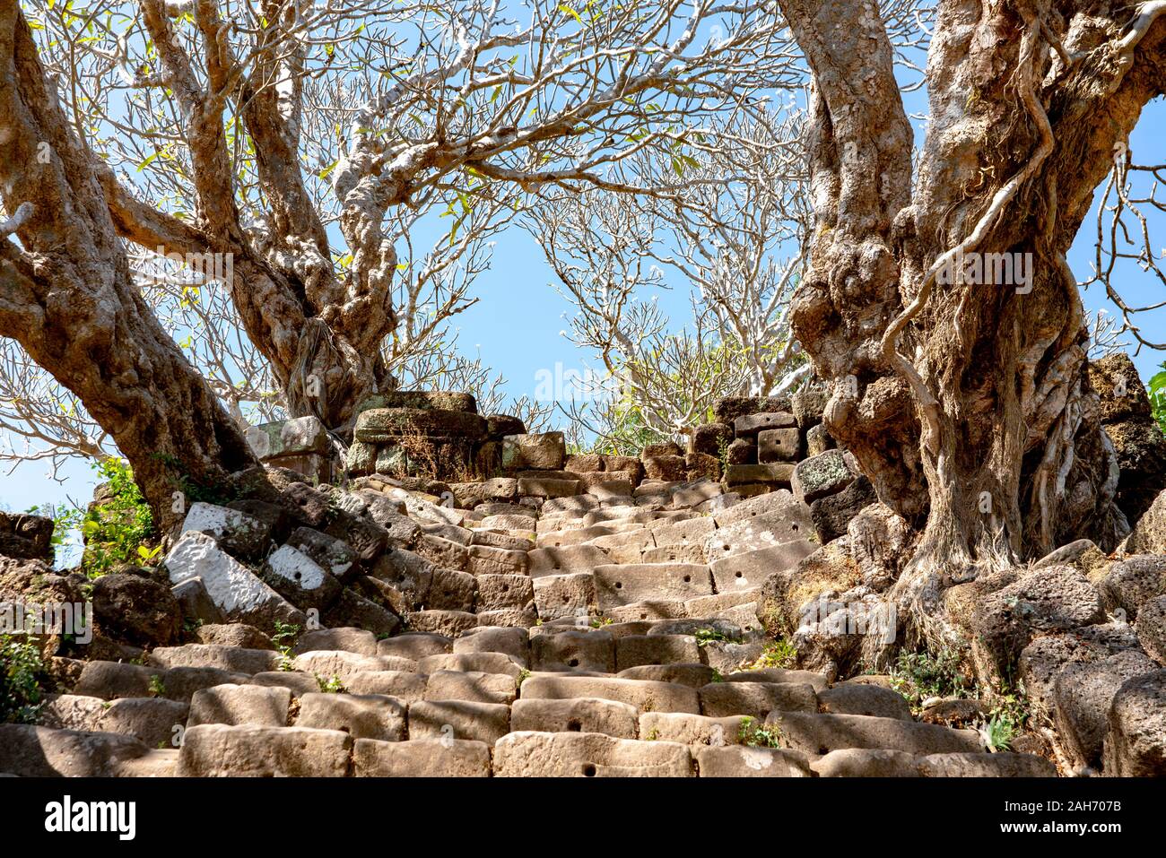 Stone strairs leading to the kmer temple Vat phou Stock Photo - Alamy