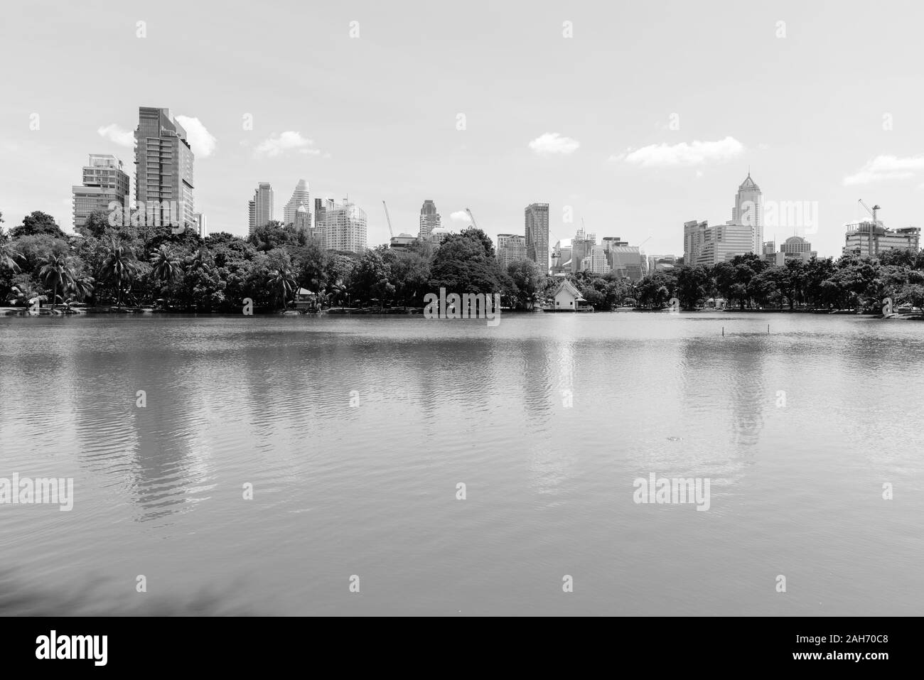 City park lake view Black and White Stock Photos & Images - Alamy