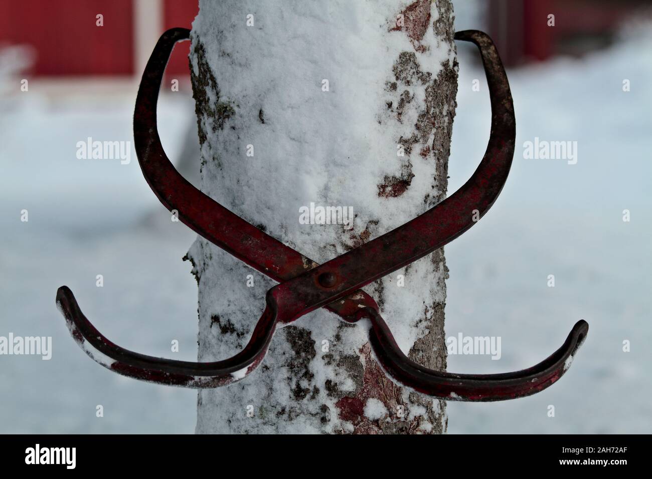 Grapple tree hi-res stock photography and images - Alamy