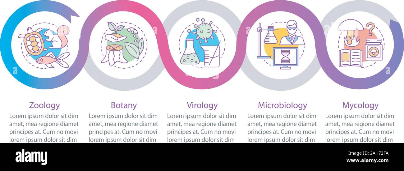Biology branches vector infographic template. Zoology, botany, virology ...