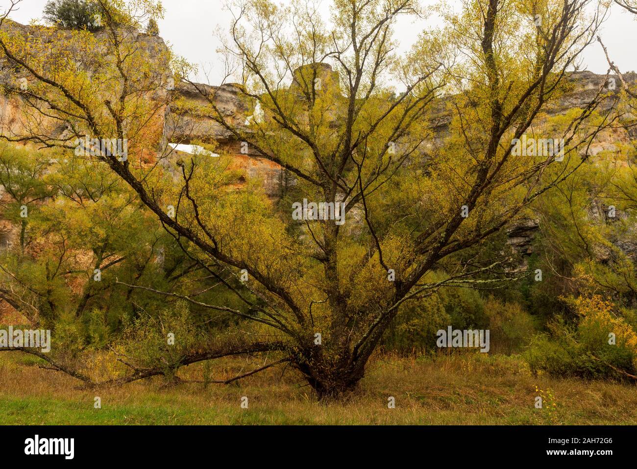 The Lobos River Canyon in the province of Soria, Spain Stock Photo - Alamy
