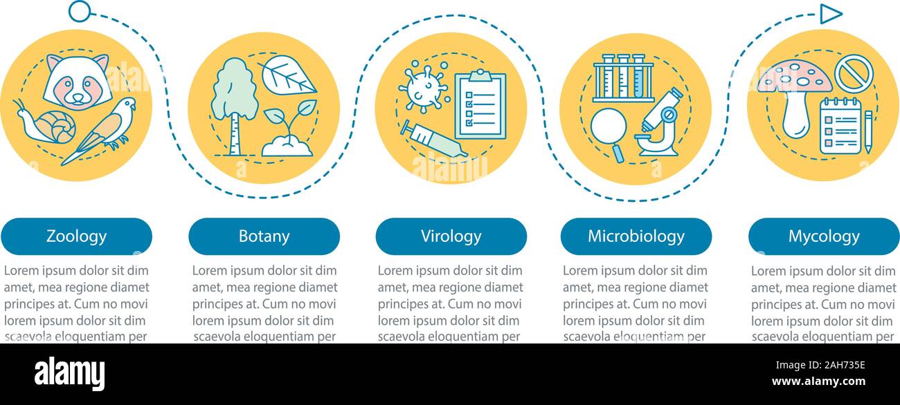 Biology branches vector infographic template. Zoology, botany, virology ...