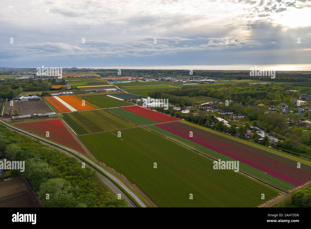 Keukenhof aerial hi-res stock photography and images - Alamy