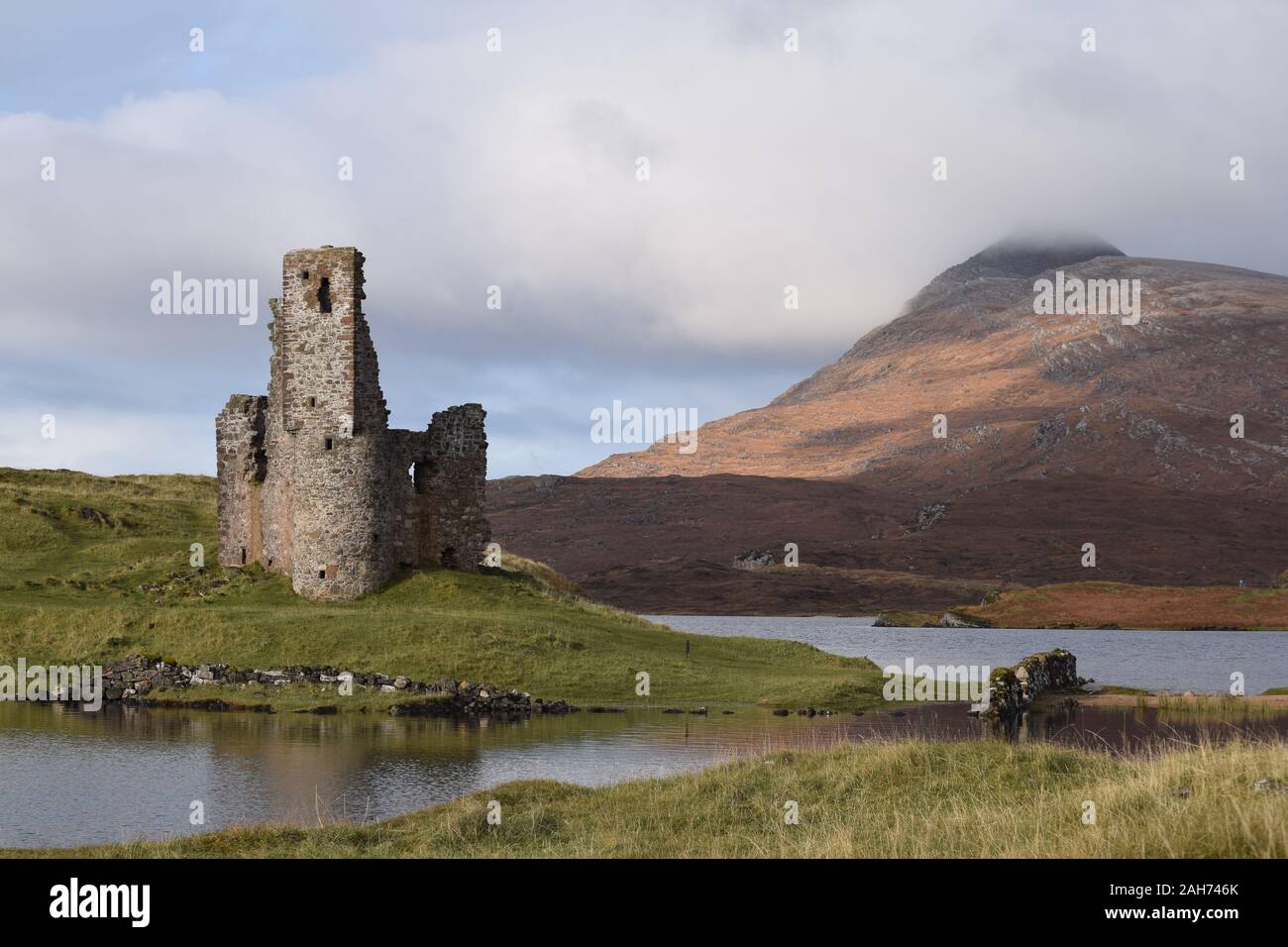 Birds of wester ross hi-res stock photography and images - Alamy