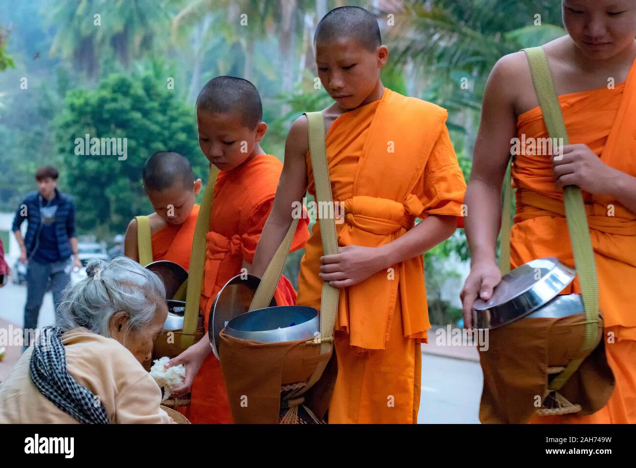 Procession of young buddhist monks in orange dress to welcome rice for ...