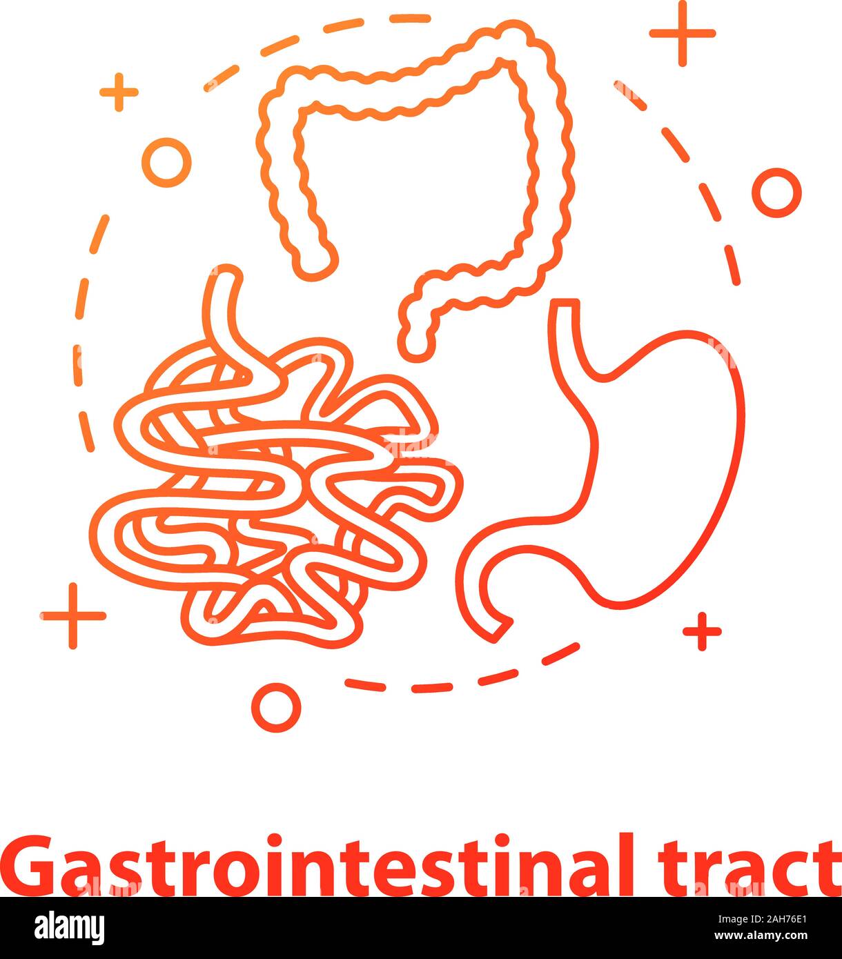 Gastrointestinal tract concept icon. Gastroenterology idea thin line ...