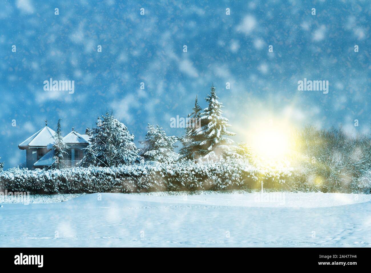 Snowstorm trees cottage hi-res stock photography and images - Alamy