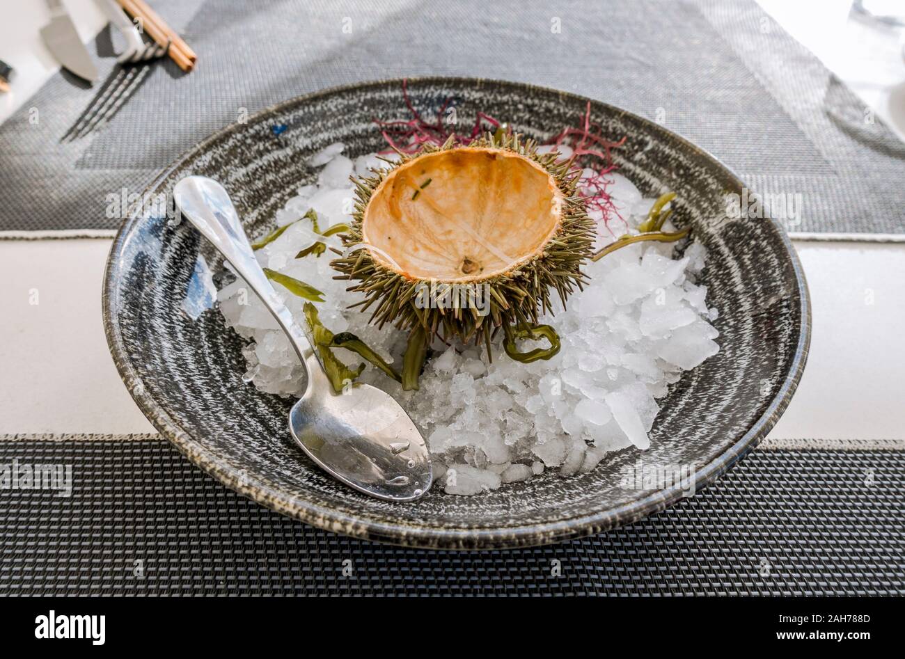 Empty shell hi-res stock photography and images - Alamy