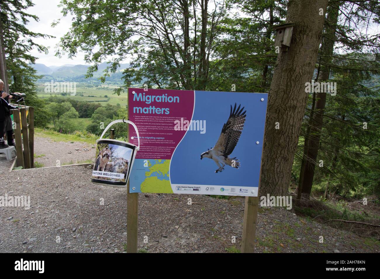 Dodwood High Resolution Stock Photography and Images - Alamy